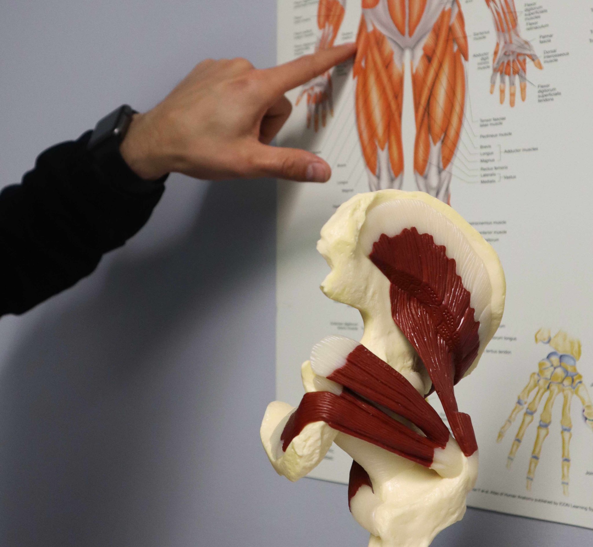 Frustrated by your chronic joint pain? - Craven Sports